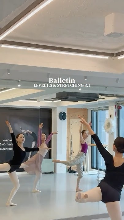 성인발레 LV1.5 & STRETCHING 3:1 🎶 인천 & 일산 & 강남에서 발레인합정점까지 🏃🏼‍♀️🏃🏻‍♂️ 열정 발레인 🔥 #성인발레 #발레인 #발레 - YouTube