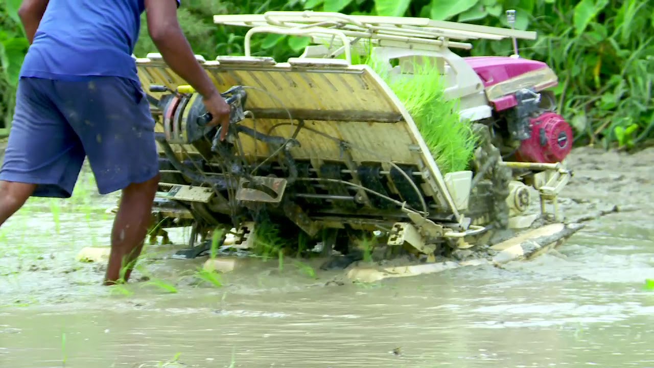Rice Paddy Planting Machine in India (सस्ते में धान लगाये इस मशीन से ...