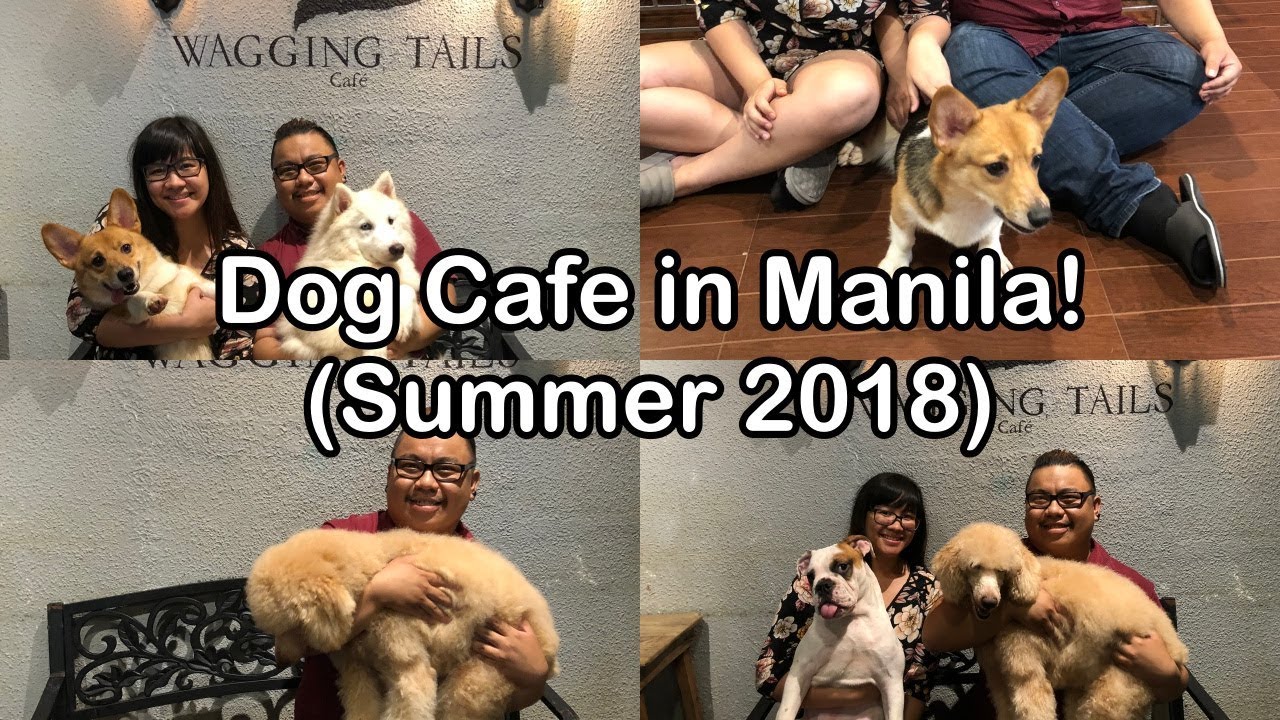 Visiting A Dog Cafe in Manila! (Summer 2018) - YouTube