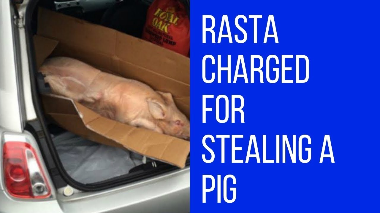 Rasta Charged For Stealing A Pig - YouTube