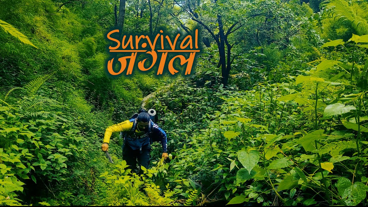 Solo Jungle Survival | Nature Sound | jungle cooking | Hum Tum ...