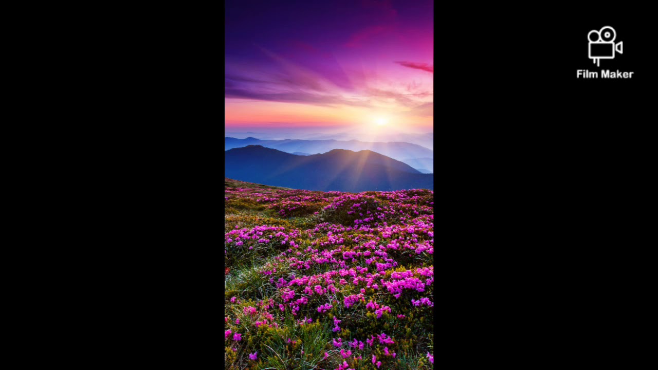 Halsey - Control - Lyrics - YouTube