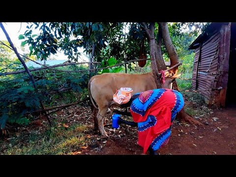 Real village life in Kenya//How people live 2023 - YouTube