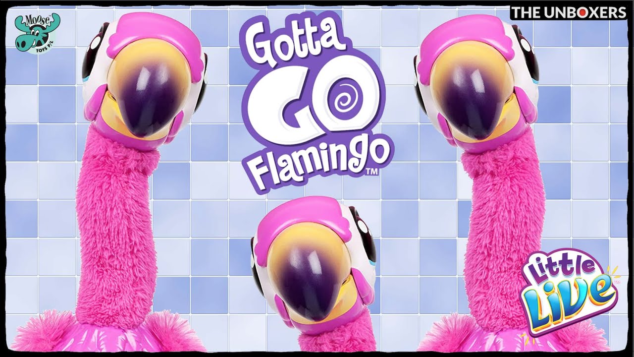 Little Live Pets Gotta Go Flamingo by Moose Toys - YouTube