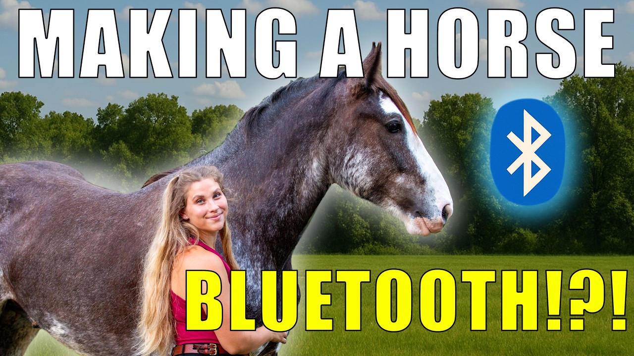 Training My Horse to Be BLUETOOTH! - YouTube