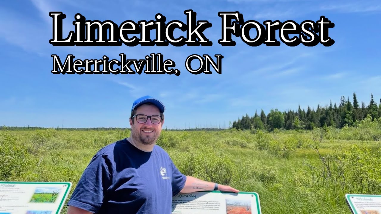 Limerick Forest (Scotch Line Trail) - Merrickville, Ontario - YouTube
