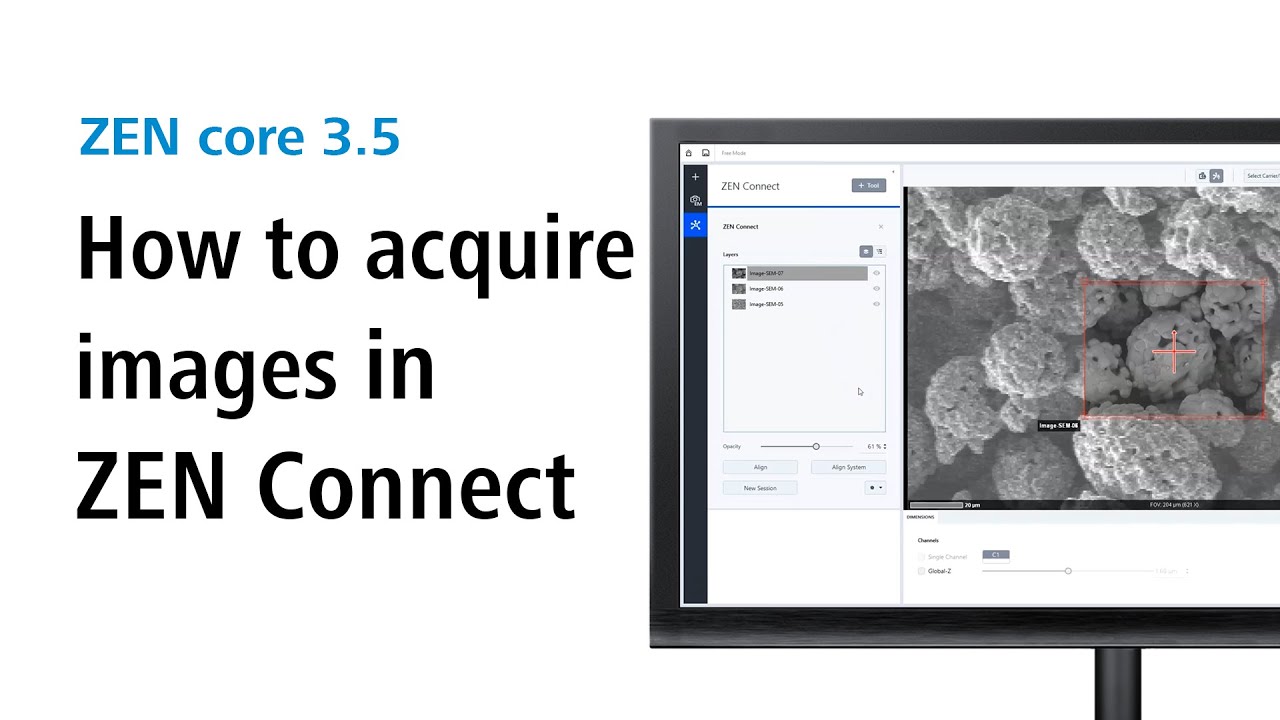ZEISS ZEN core | How to acquire images in ZEN Connect - YouTube
