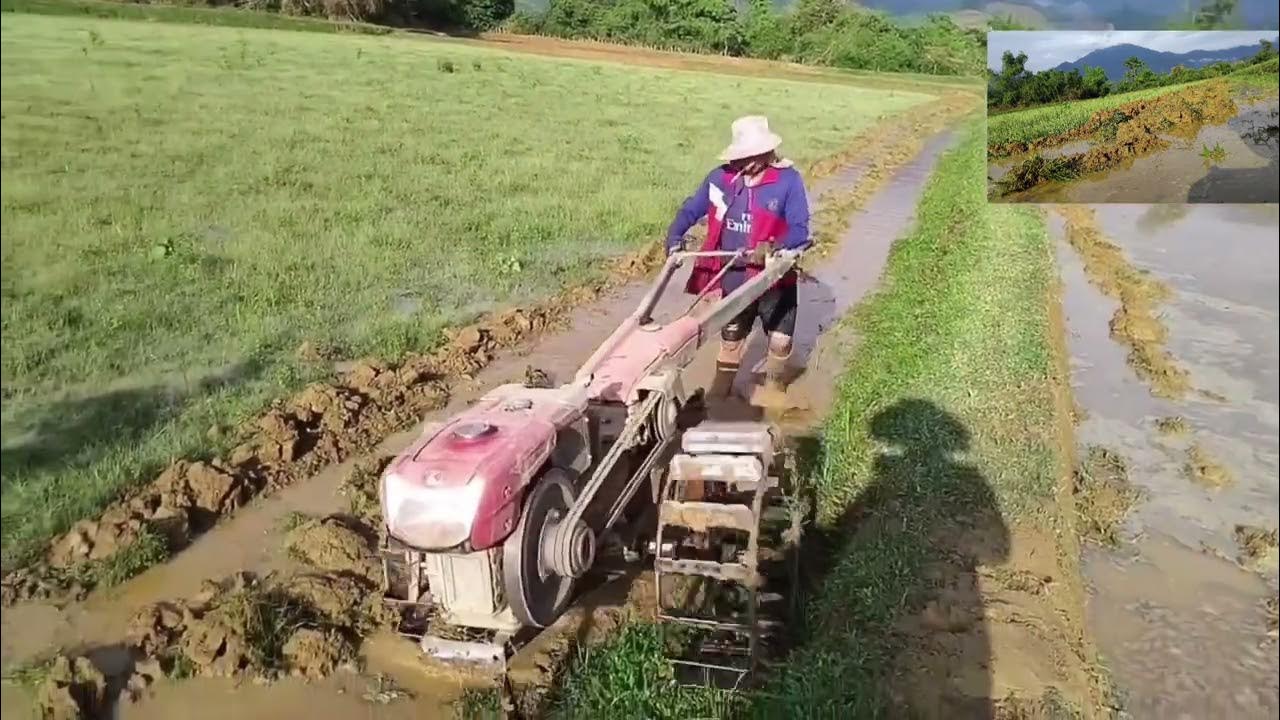 hnub no mus laij liaj sab kawg.16/06/2024 - YouTube