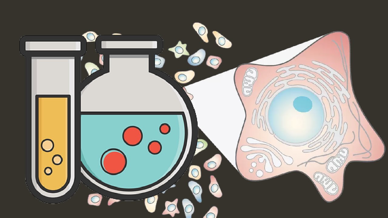 JUMP-Cell Painting experimental updates - YouTube