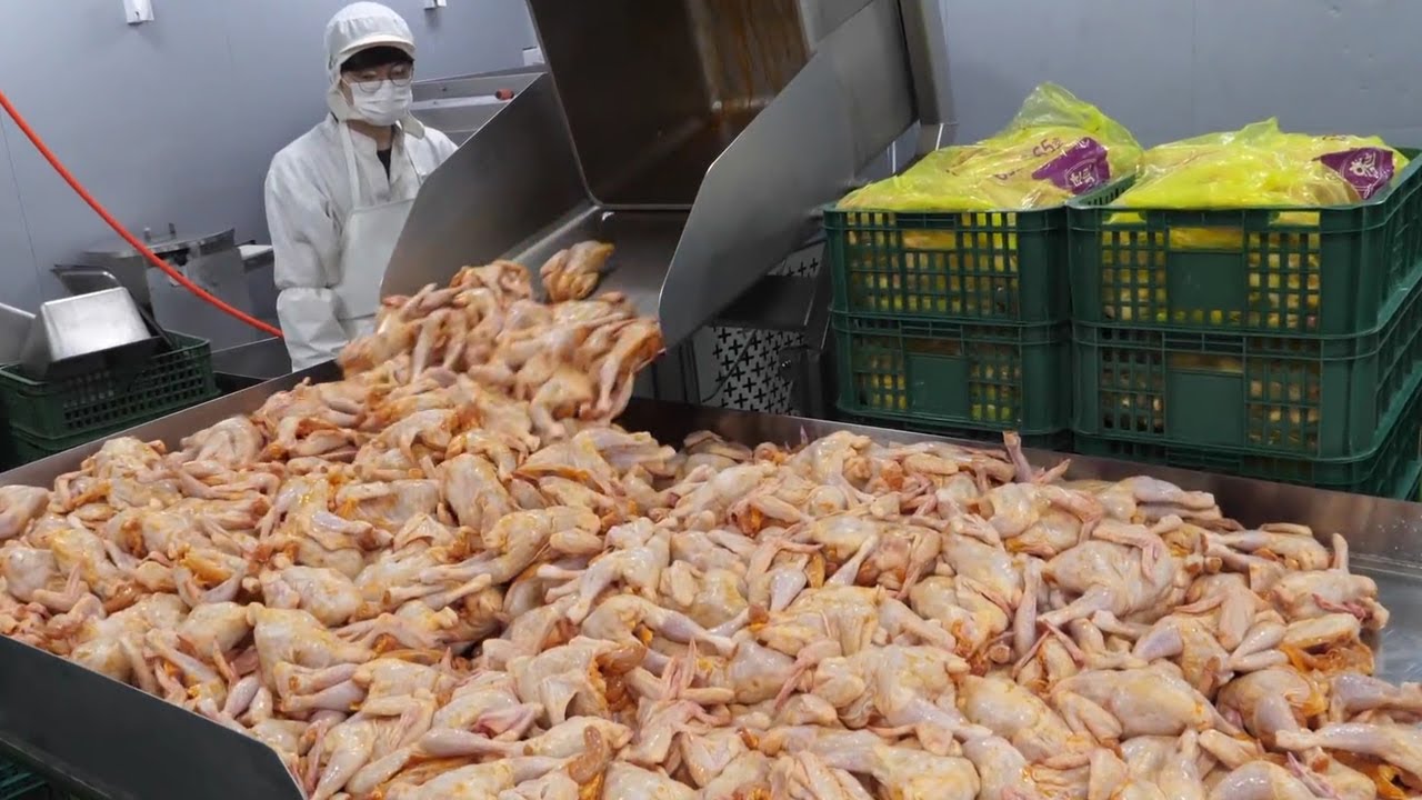 Korean style fried chicken and chicken processing plant | Food factory ...