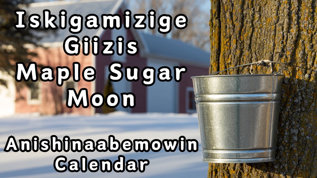 Iskigamizige Giizis - Maple Sugar Moon - April 2024 - Bay Mills ...