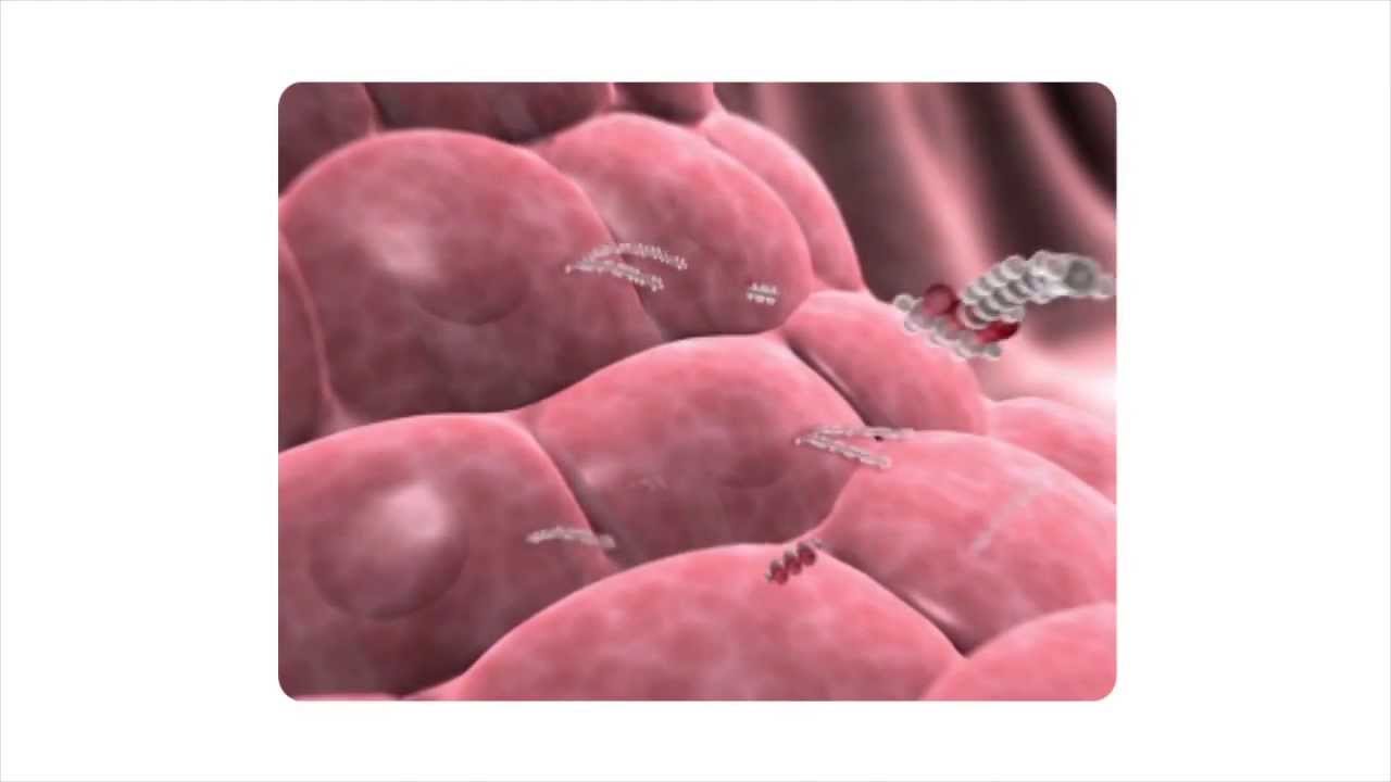 Biopharma Animation Demo - YouTube