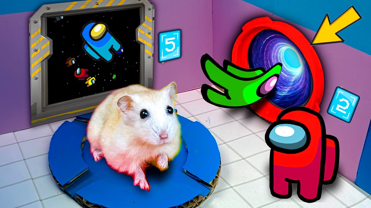 🐹 Hamster Impostor Among Us - Hamster Amazing Maze Best Pet Challenge 🐹 ...