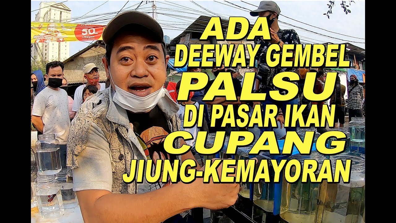 PASAR IKAN CUPANG JIUNG KEMAYORAN - KETEMU DEEWAY GEMBEL PALSU - YouTube