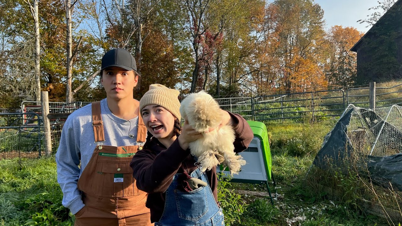 WE ARE FARMERS NOW! - YouTube