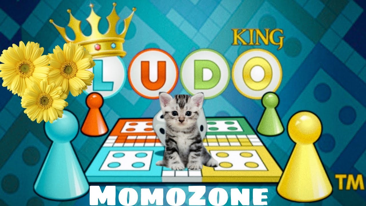 MomoZone is live! Ludoking - YouTube