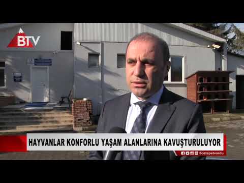 HAYVANLAR KONFORLU YAŞAM ALANLARINA KAVUŞTURULUYOR