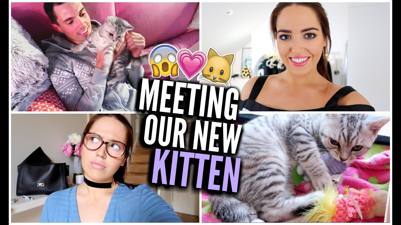 MEETING OUR NEW KITTEN! - YouTube