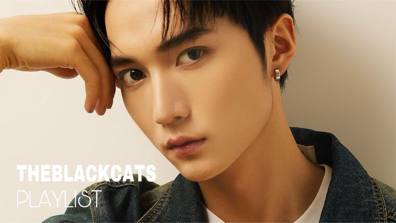 Wang Pei Yan 王培延 Thumbnail for Playlist - YouTube