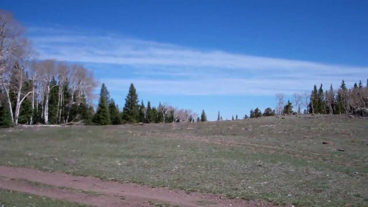 Boulder Mountain Wilderness Camping North Slope Road Utah - YouTube