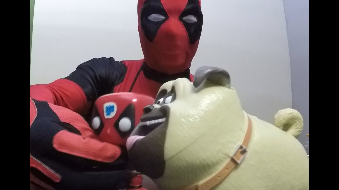 Mel The Pug Dog From The Secret Life Of Pets - YouTube