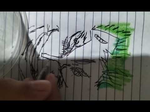 tutorial and how colay it - YouTube