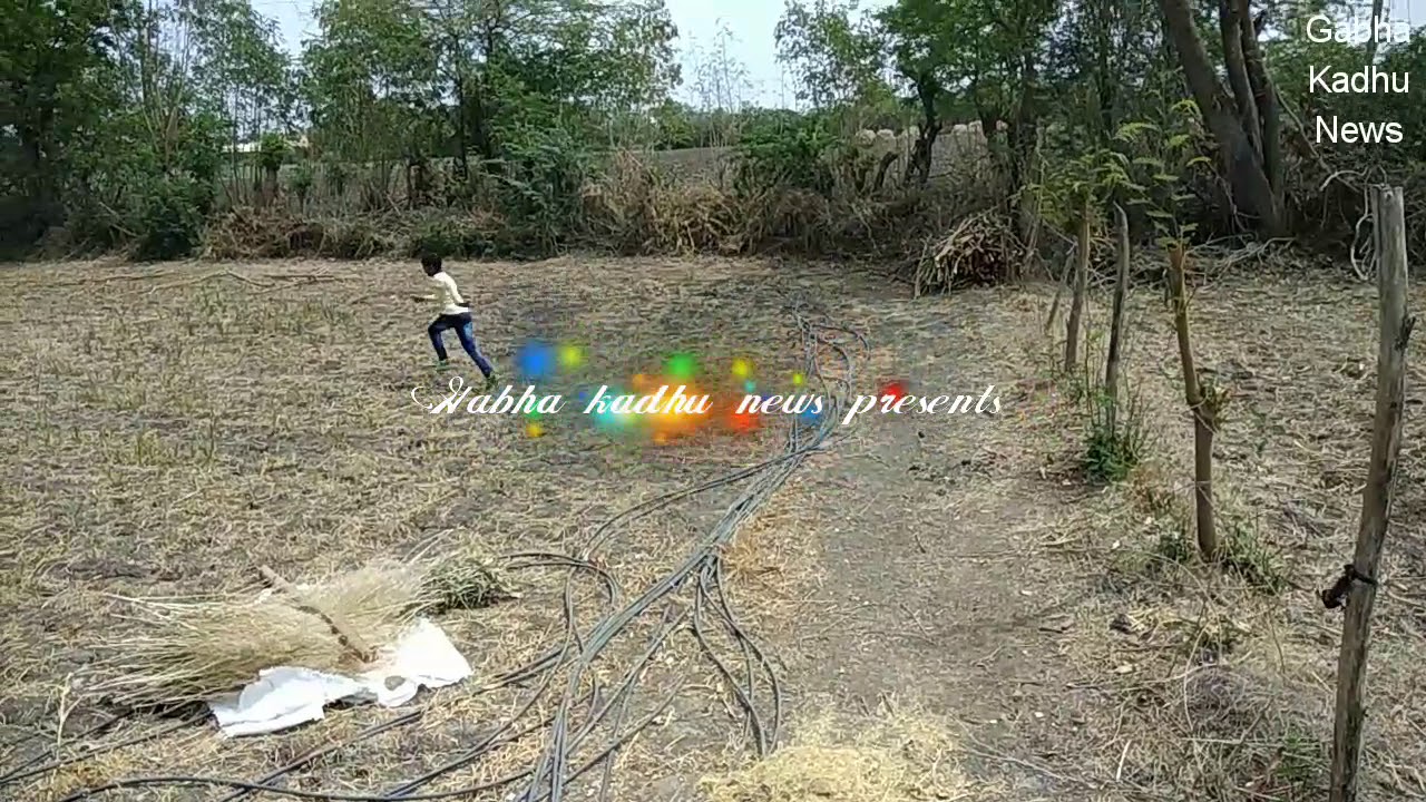 Fun for life in farm - YouTube