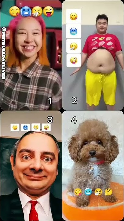 Who Is Your Best Pinned Your Comment F0 9f 93 8c Tik Tok Meme Reaction