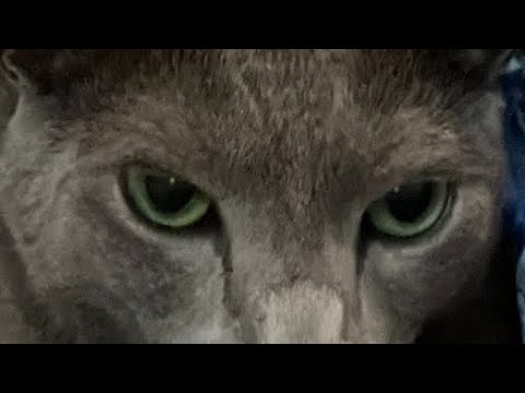 Me doing random things - YouTube