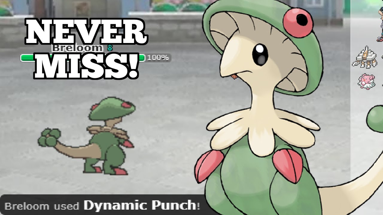 No Guard Dynamic Punch Breloom is ACTUALLY LEGIT in Almost Any Ability ...