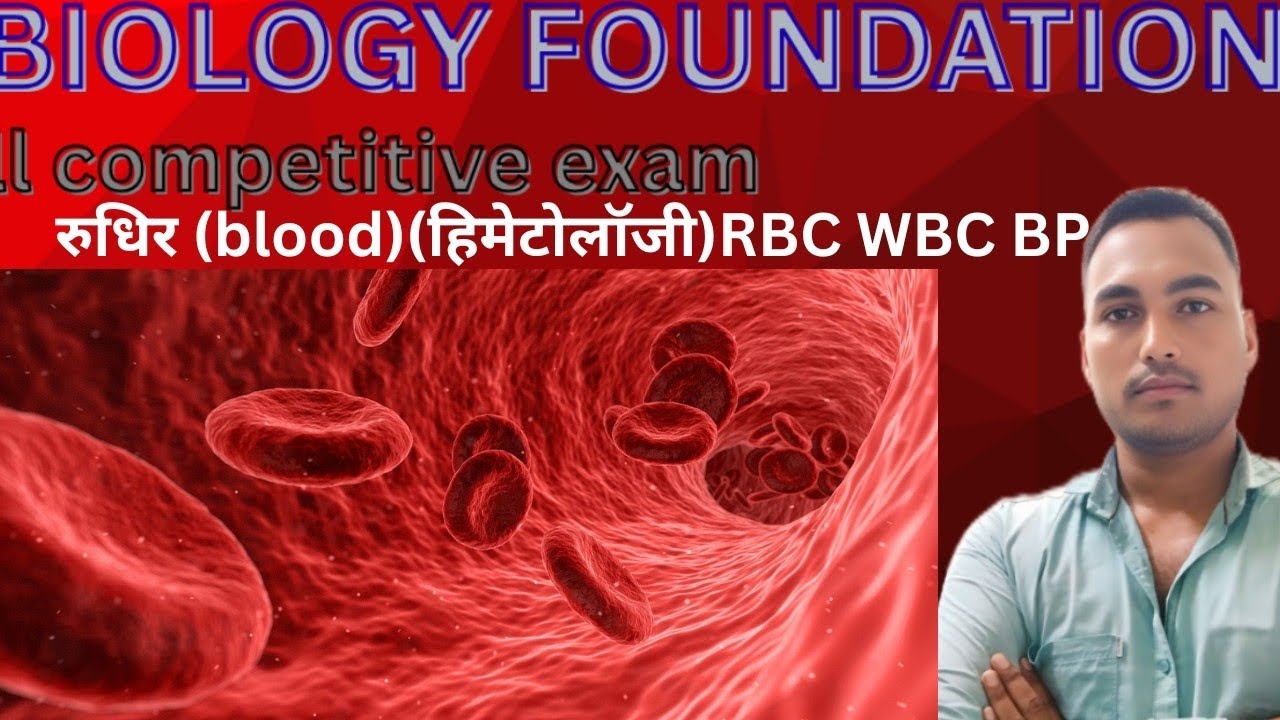 Class 42 human blood WBC RBC BP plasma//structure of blood in hindi ...