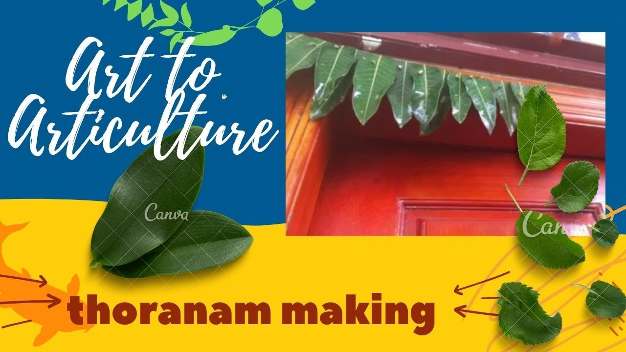 learn how to make mango leaf thoranam alone with me #mango_leaf # ...