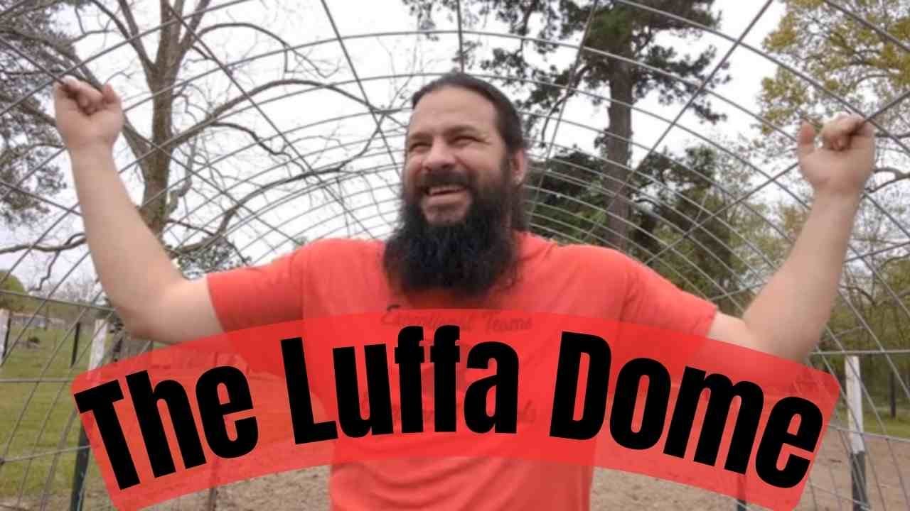 Building The Tunnel and Trellis | Aka... The Luffa Dome - YouTube