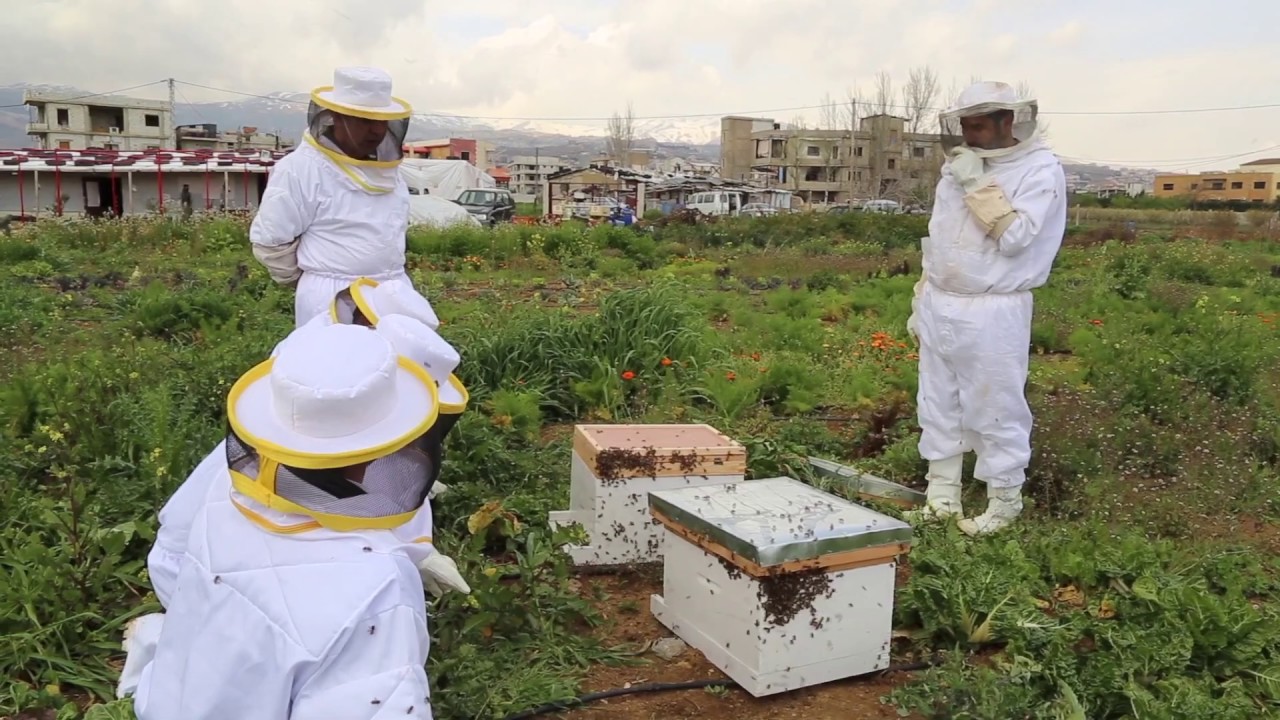 BEEKEEPING TRAINING 2019 - YouTube