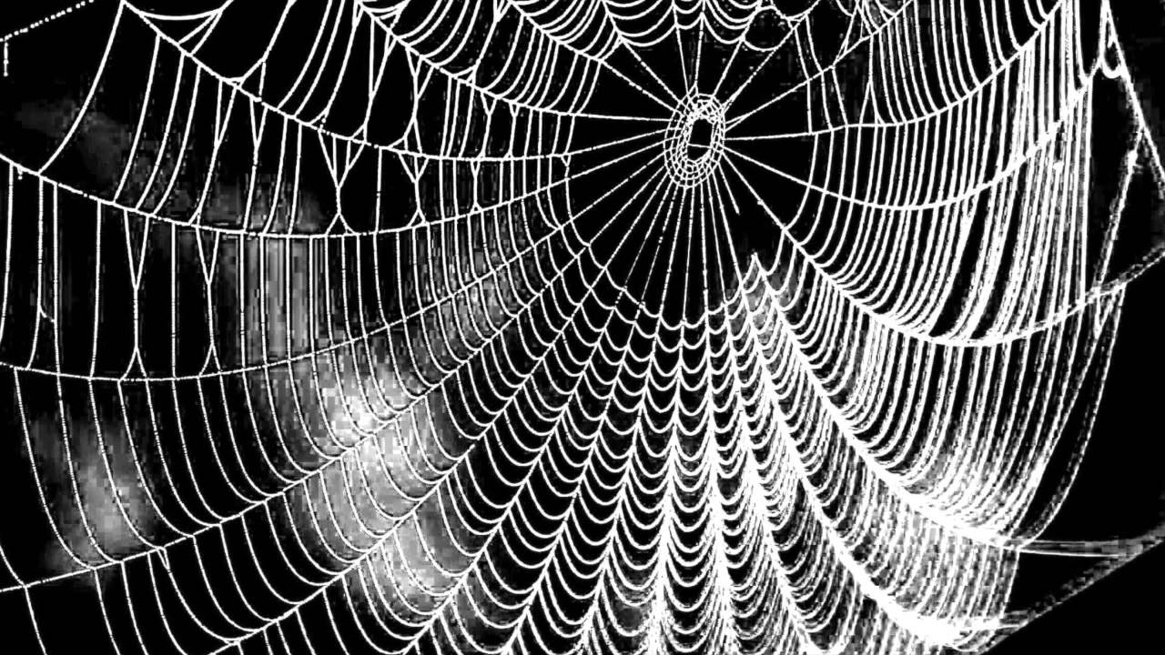 Spindly Spider by Stacy Fahrion - YouTube