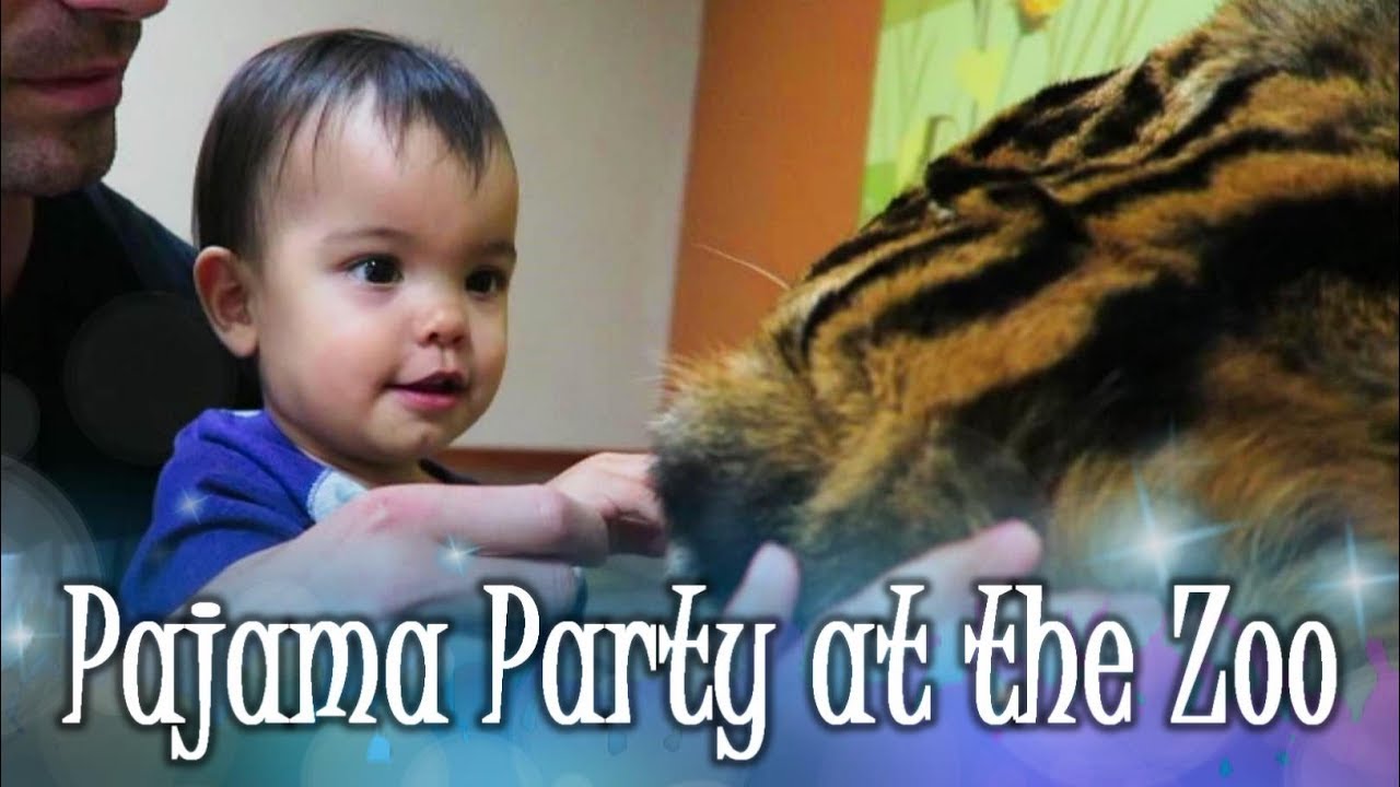 Pajama Party at Sedgwick County Zoo - YouTube
