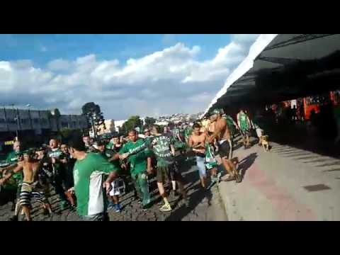 IMPÉRIO SUL EO COMANDO PINHEIRINHO ALIADOS TERROR BICOLOR CWB - YouTube