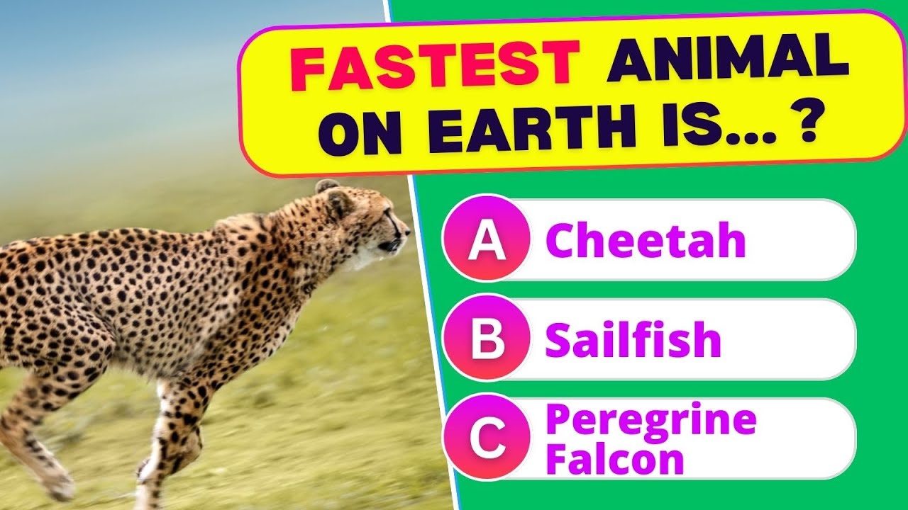 General Animal Quiz | 30 Fun and Challenging Questions About Animals ...