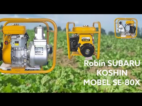 Japanese water pump Robin SUBARU # Robin EY-20D / KOSHIN MODEL SE-80X ...