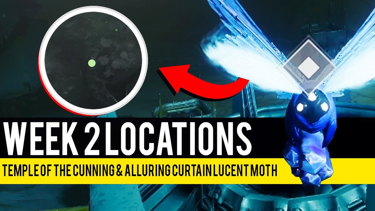 Alluring Curtain & Temple of The Cunning Lucent Moth Locations! Week 2 ...