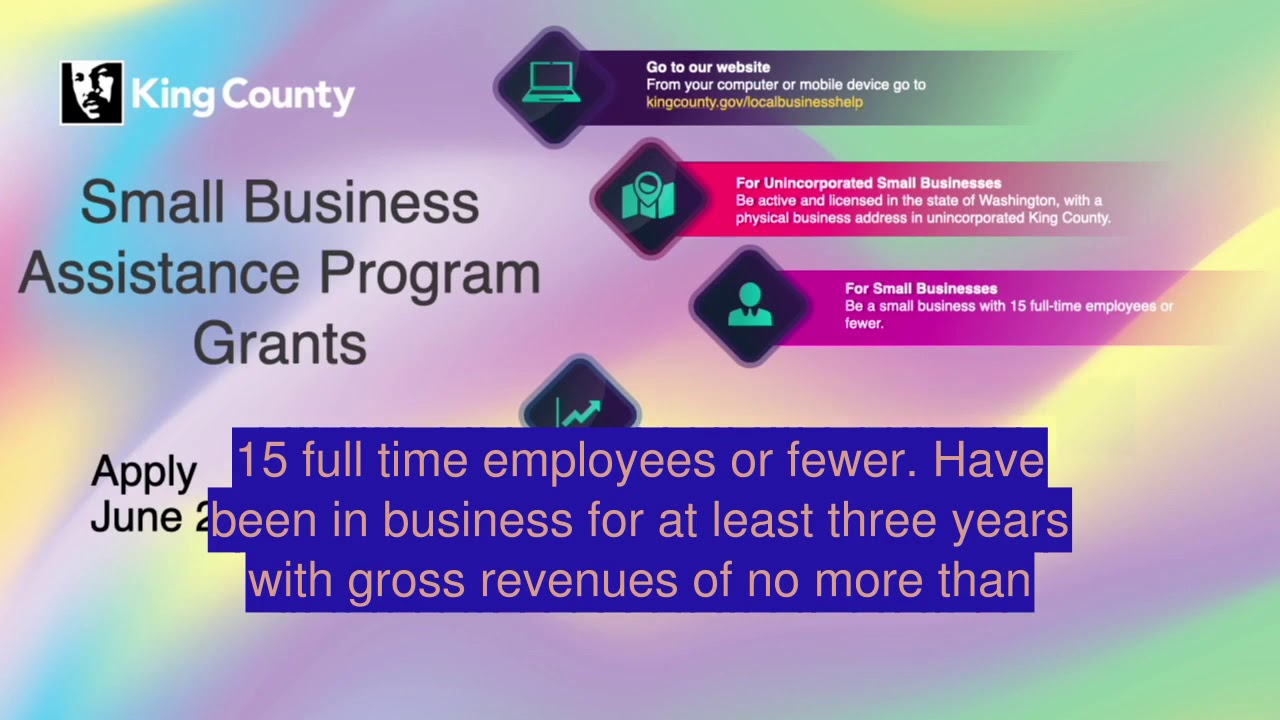 Small Business Assistance Program Grants - Explainer (with captions ...