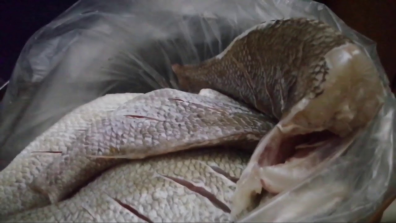 Fish frai Recipe 🐠 - YouTube