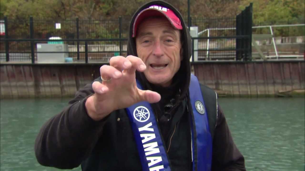 Jumbo Perch, Lower Niagara River, ON Part 4 of 4 - YouTube