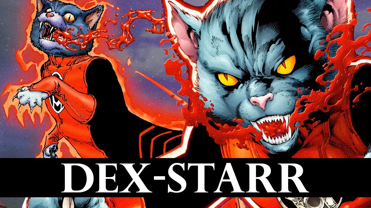 Dex-Starr | Le chat Red Lantern. - YouTube