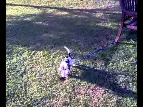 Qik - Saklikoy - Hidden Village by Erhan Ozkan