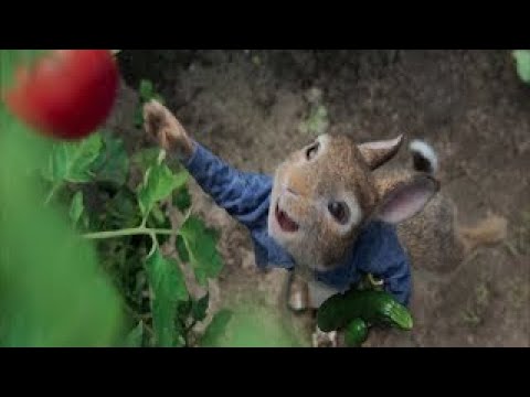 Peter Rabbit - Music video for Kids ( Funny Sence ) - YouTube