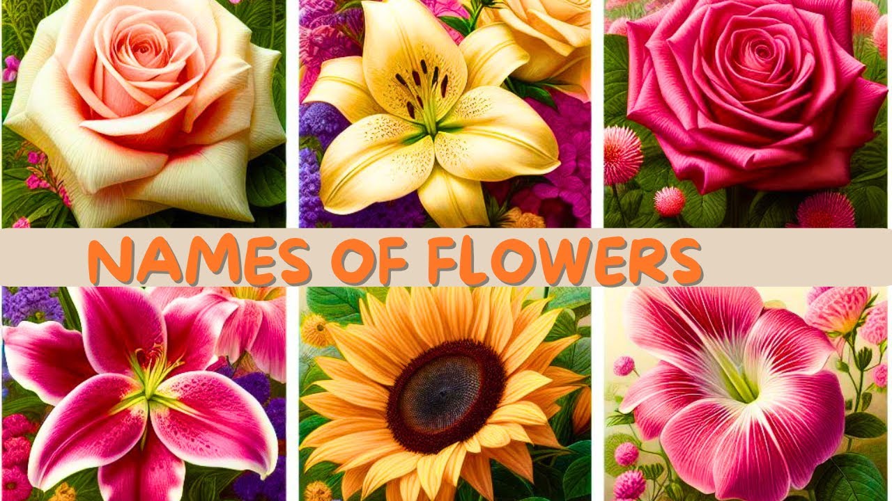 FLOWERS NAME | PICTURE DICTIONARY | FLOWERS KA NAAM | KIDSTART TV - YouTube
