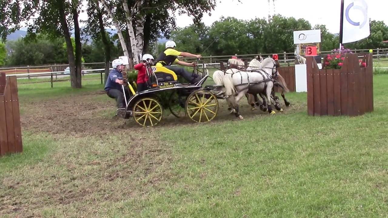 Yannik Scherrer Hindernis 4 - YouTube