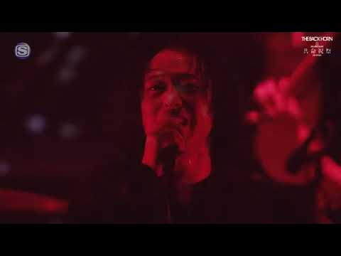 THE BACK HORN「KYO-MEI SPECIAL LIVE」〜共命祝祭〜 - YouTube
