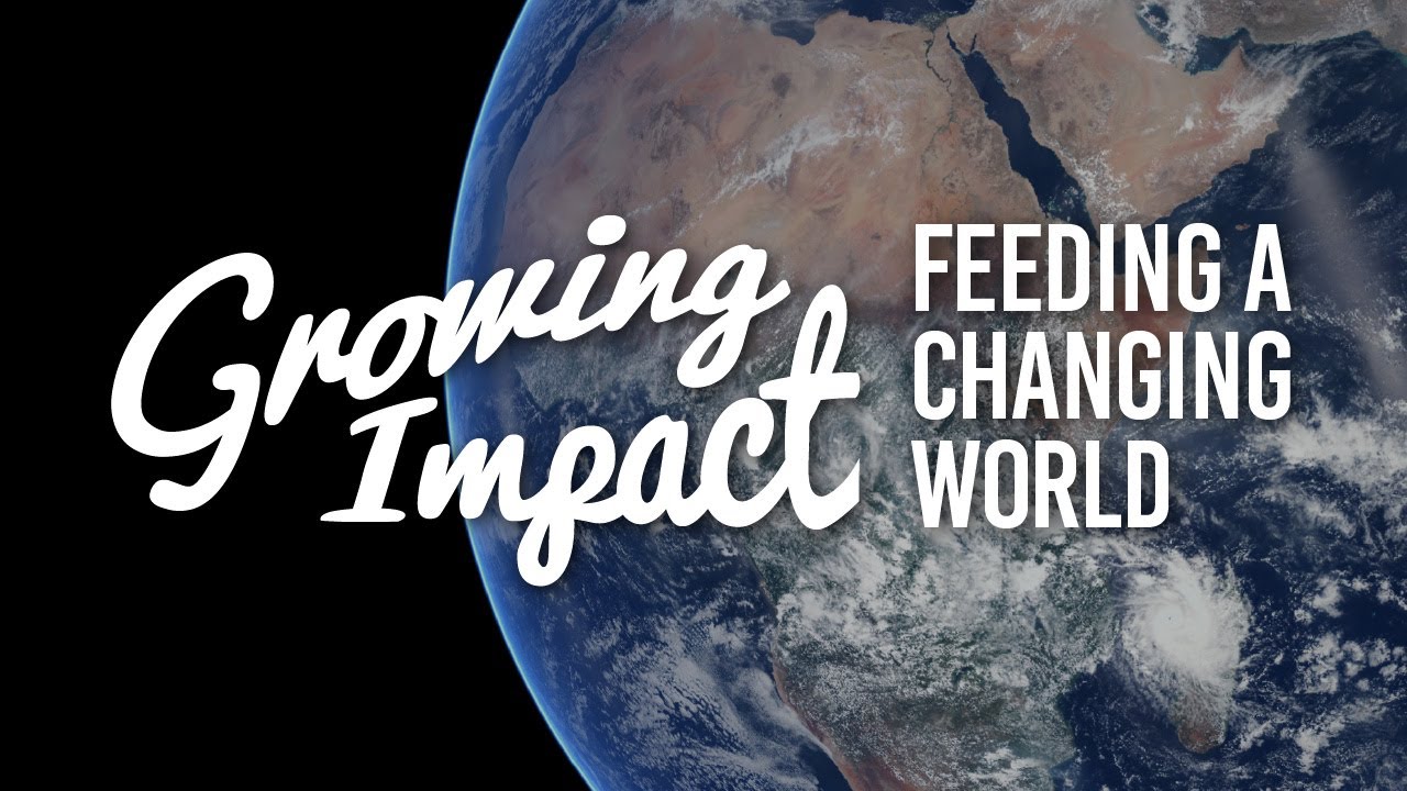 Growing Impact: Feeding a changing world - YouTube